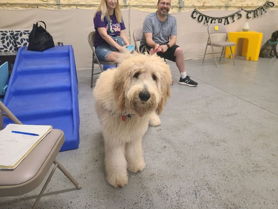 The First Puppy Power Hour Was Pawsome! - Canine Cabana