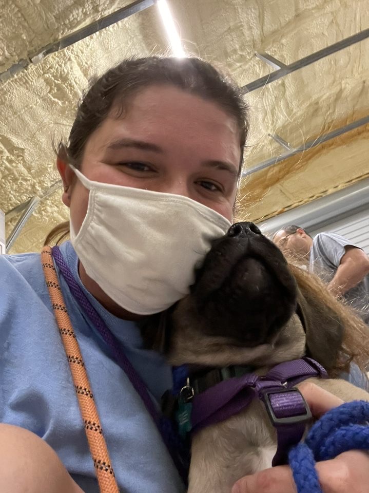 The First Puppy Power Hour Was Pawsome! - Canine Cabana