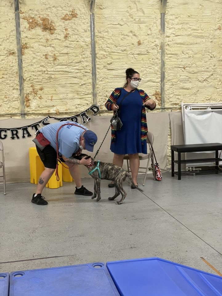 The First Puppy Power Hour Was Pawsome! - Canine Cabana