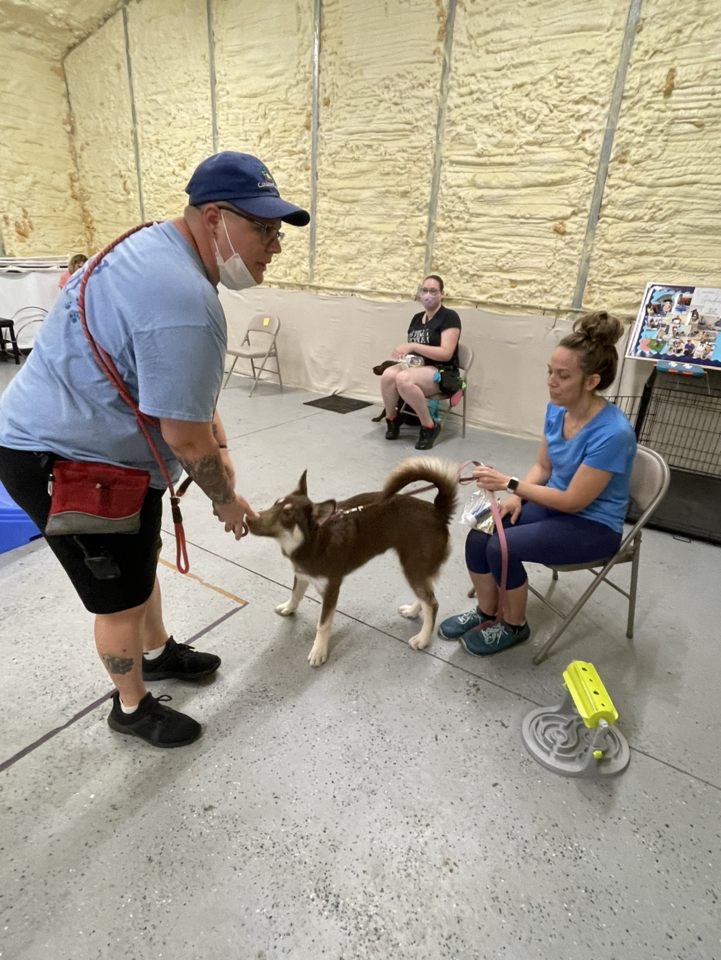 The First Puppy Power Hour Was Pawsome! - Canine Cabana