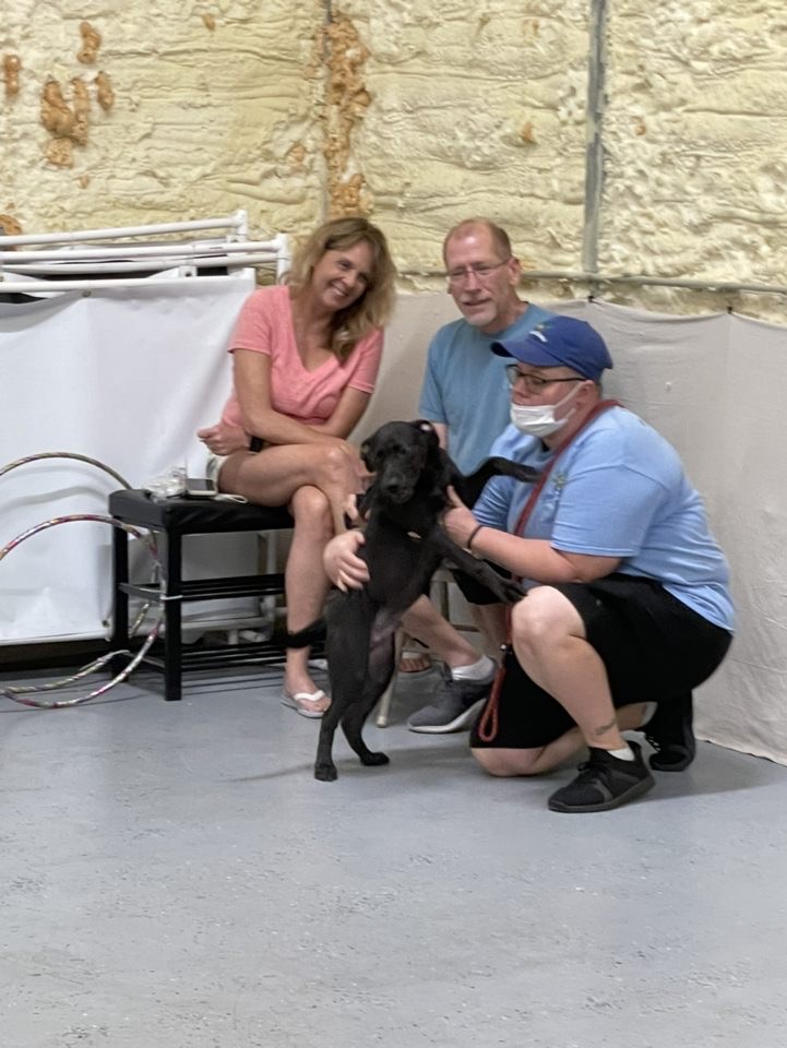 The First Puppy Power Hour Was Pawsome! - Canine Cabana