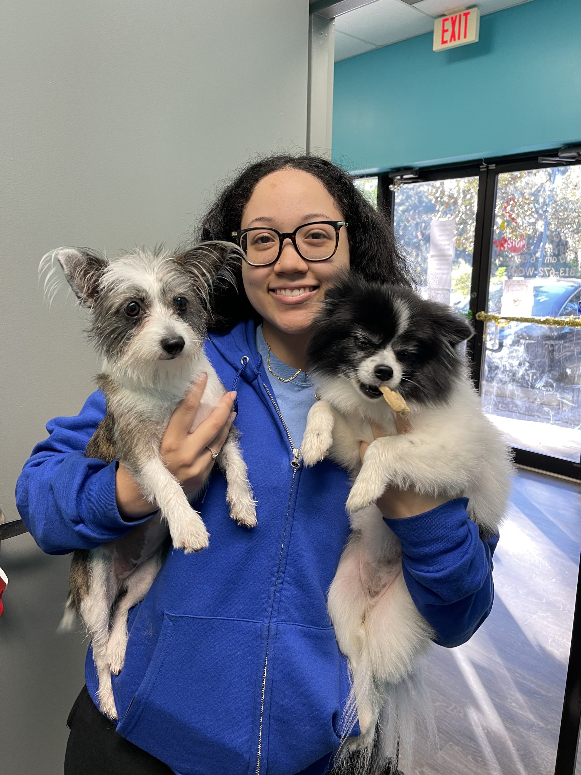 Employee Spotlight: Kati. We're Hiring, too! - Canine Cabana